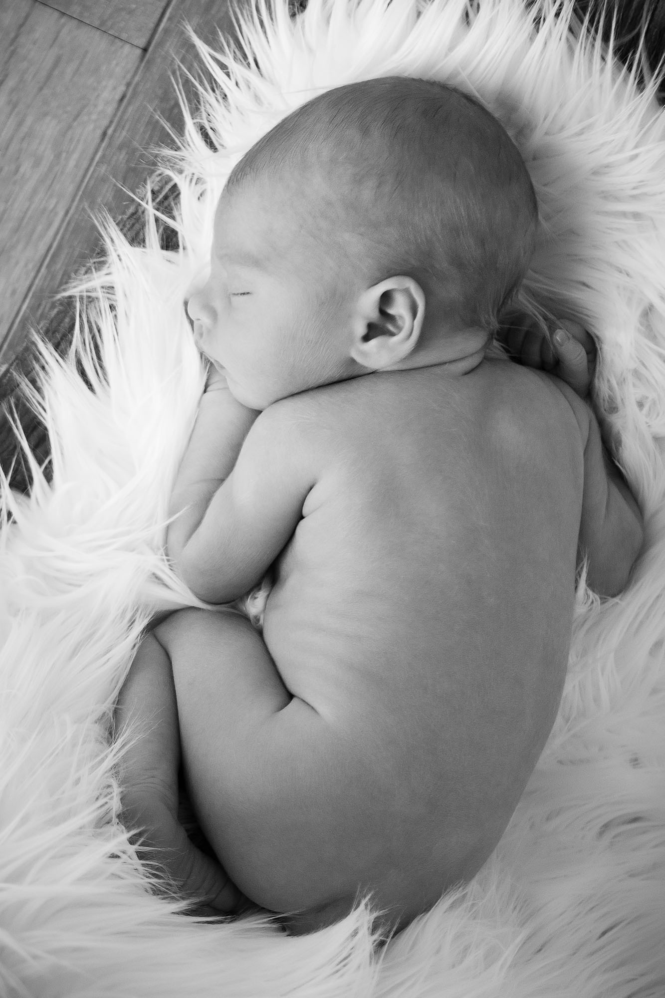 welcome baby Reuben, 7 days new | The Hague | Newborn Baby Photographer